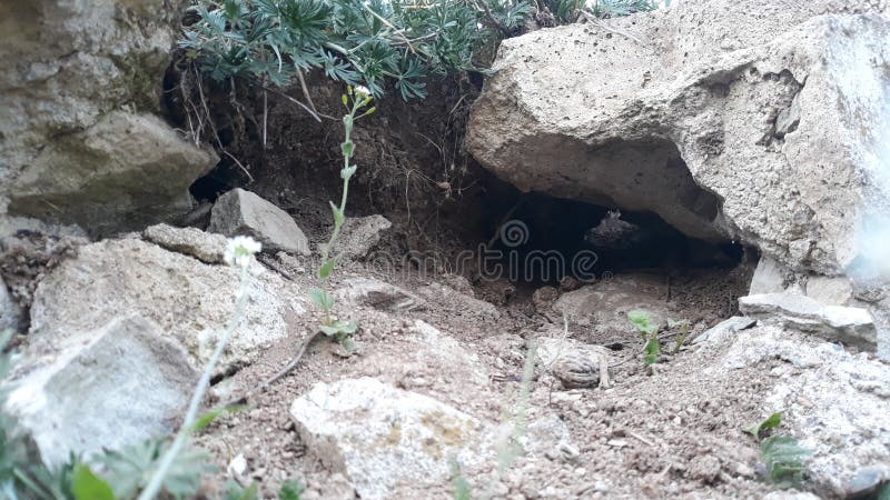 Stone cave in mountain stock photo. Image of wild, cave - 114434352