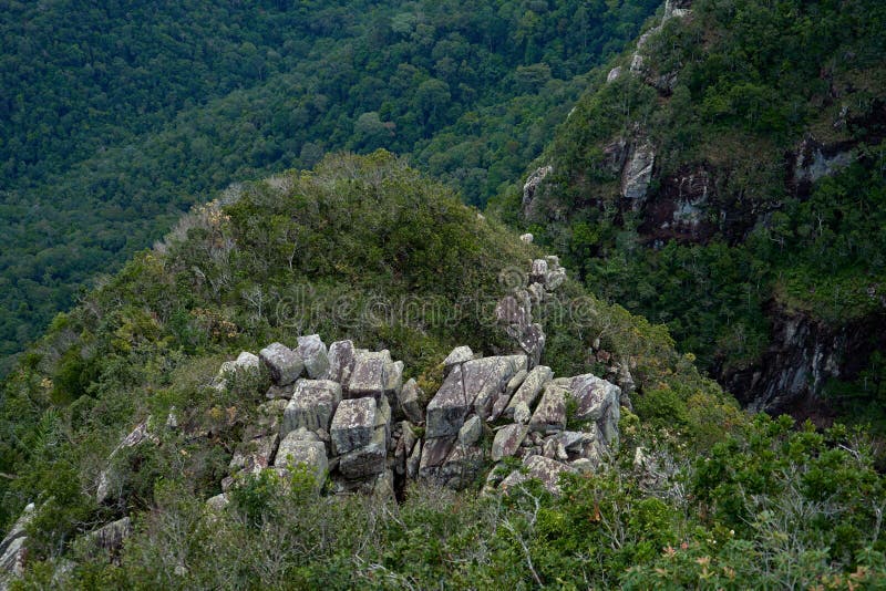 Stone Cliffs in the Dense Jungle of Asia. Untouched Nature Stock Photo ...