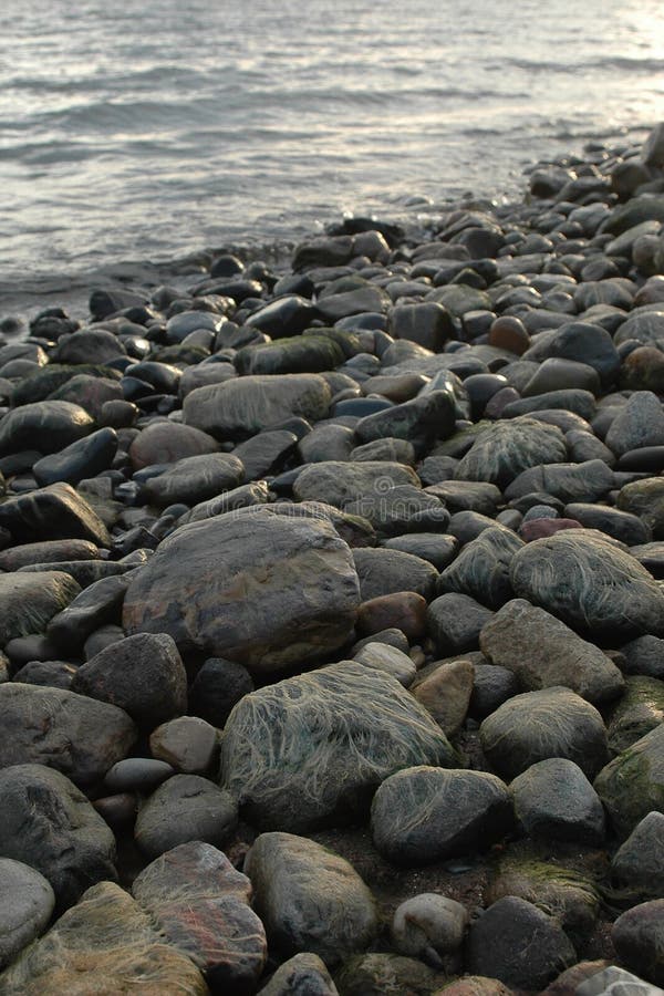 Stone coast stock photo. Image of humid, seacoast, rock - 8786936