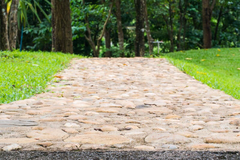 Stone Color Walkway stock photo. Image of rough, grass - 19503572