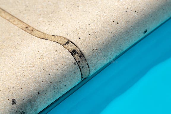 Stone Coping on the Edge of a Pool Stock Photo - Image of edge, coping ...