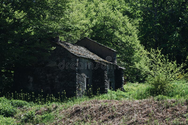 Stone Cottage on a Grass-covered Land Surrounded by Beautiful Green ...