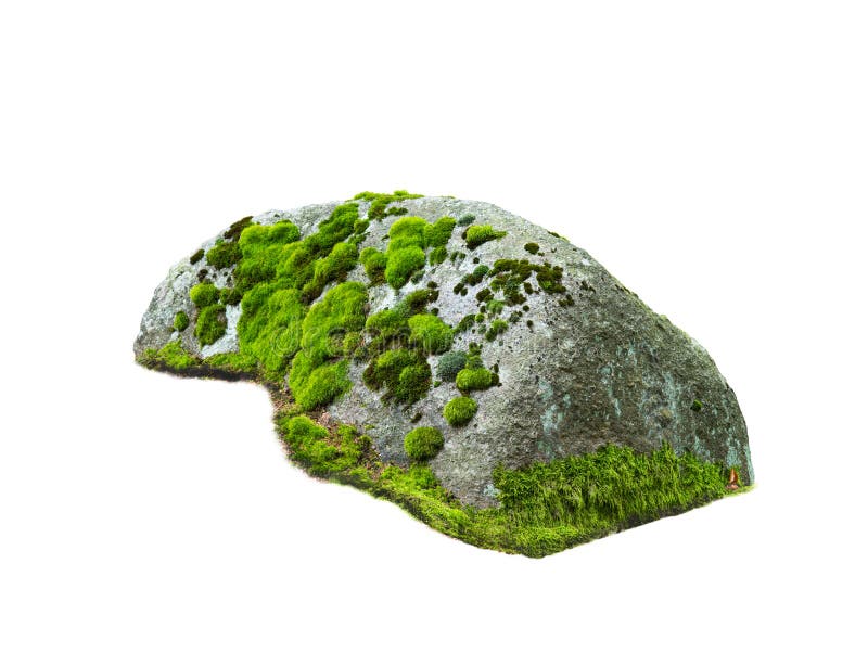 Stone Covered with Moss Isolated on White Background Stock Image ...