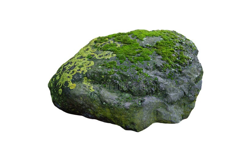 Stone Covered with Moss Isolated on White Background Stock Photo ...