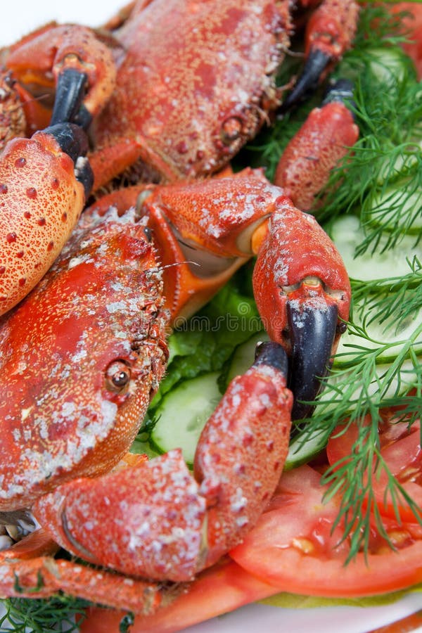 Stone crabs on a plate stock image. Image of shell, seafood - 17231853