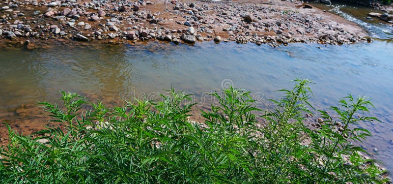 A Stone Dam on the Water S Edge Stock Image - Image of travel, summer ...