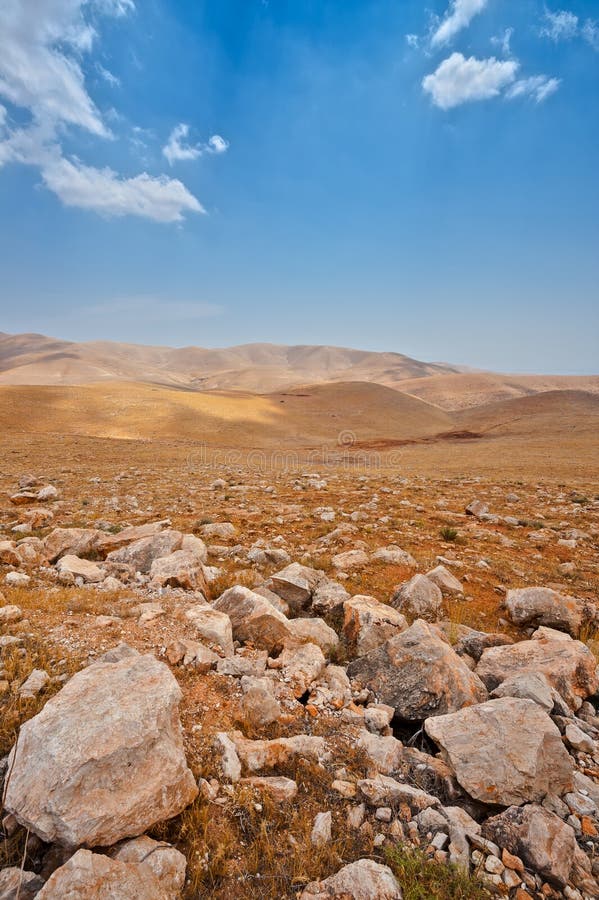 Stone Desert stock image. Image of land, harsh, ground - 26353939
