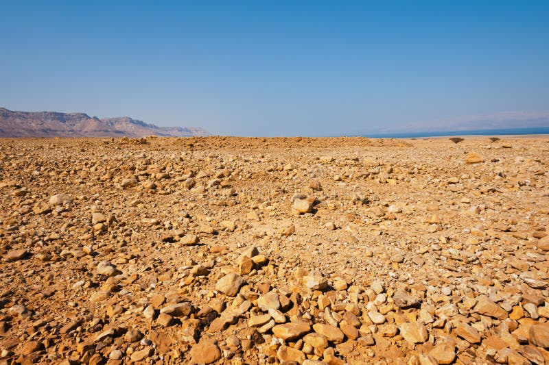Stone Desert stock photo. Image of judean, bank, nature - 26893868
