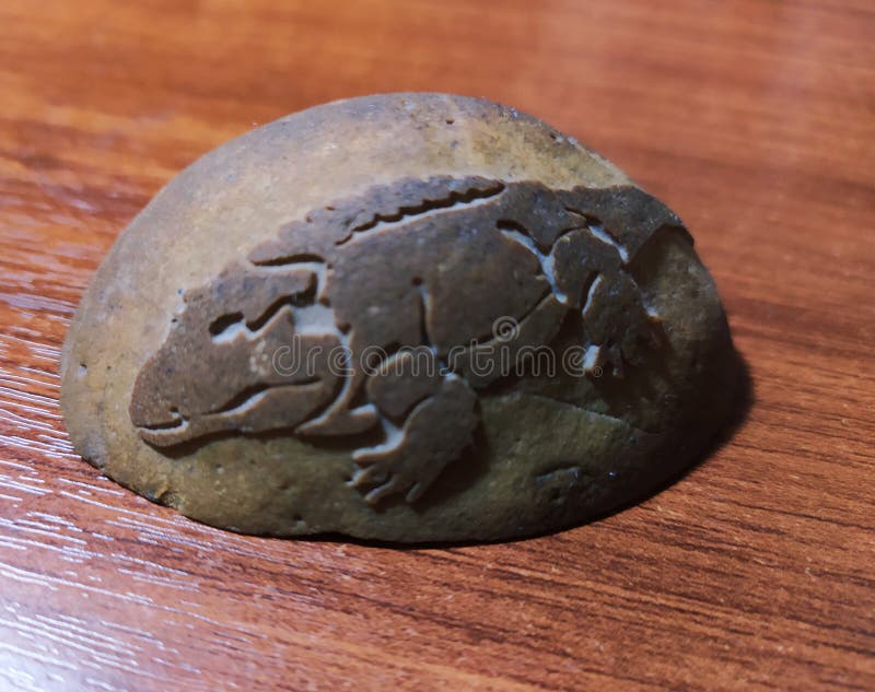 Stone with dinosaur stock image. Image of rock, dinosaur - 183046885