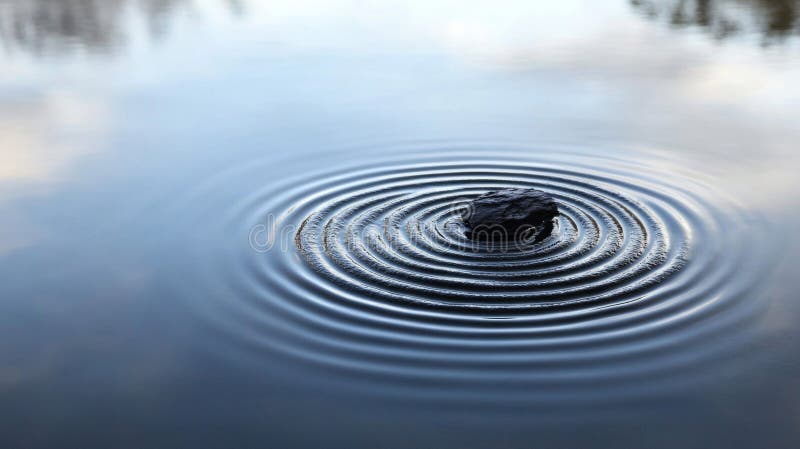 Stone Dropped in Still Water Creating Concentric Ripples Stock ...