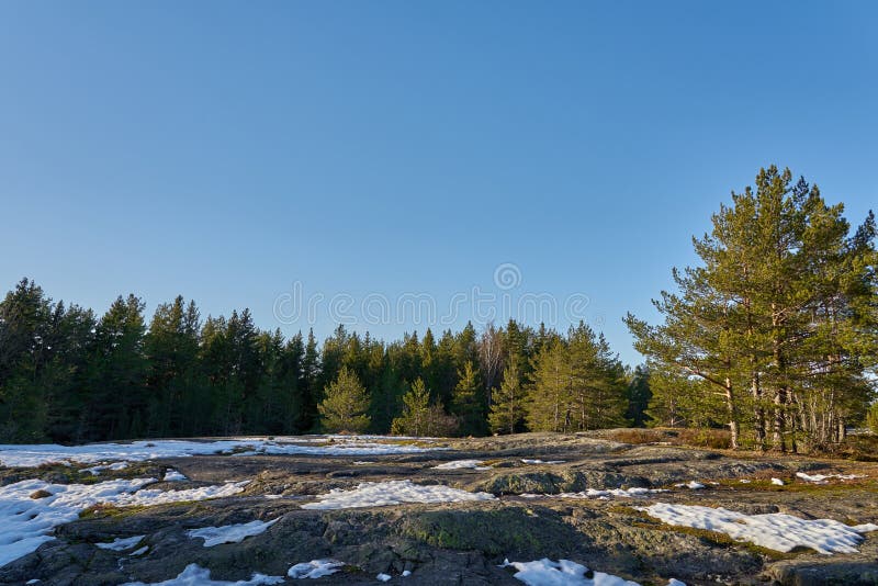 A Stone Edge of the Forest in the Sunlight Stock Image - Image of ...