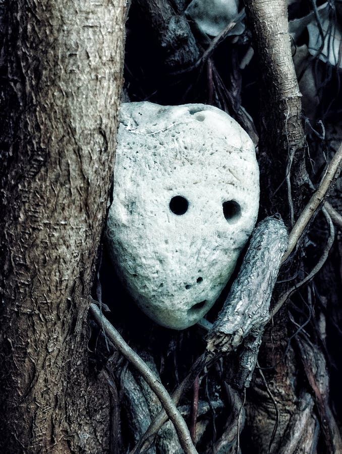 Stone Face Hidden among Tree Roots. Stock Image - Image of sculpture ...