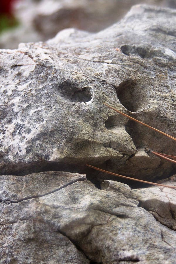 Stone face 21 stock image. Image of pure, stone, face - 45388545