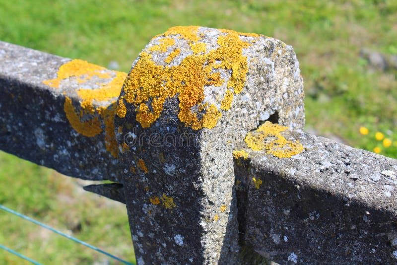 Stone Fence Post (IRE 0261 stock image. Image of ireland - 172822489