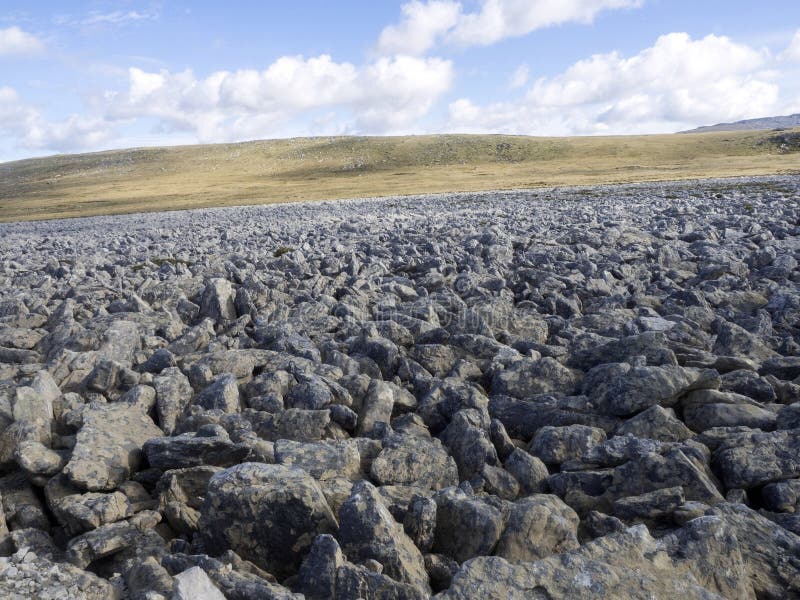 Stone Fields, Stanley Island, Falkland Islands - Malvinas Stock Photo ...