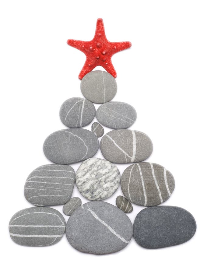 Stone fir tree stock photo. Image of present, starfish - 6864304