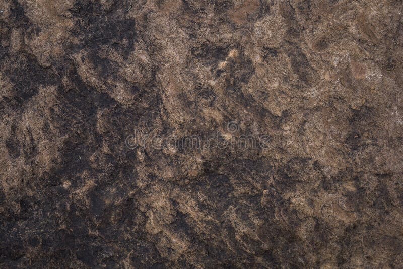 Stone Floor Background Texture Stock Image - Image of background, rough ...