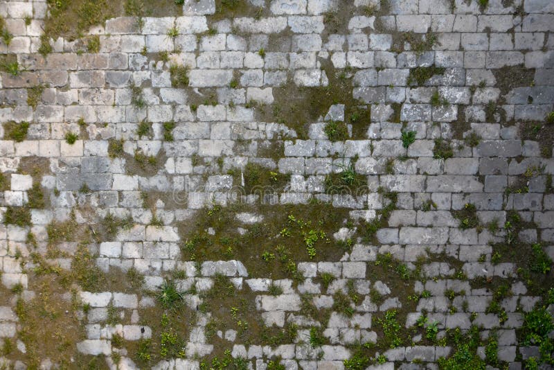 Stone floor with moss stock photo. Image of path, tiled - 66653354