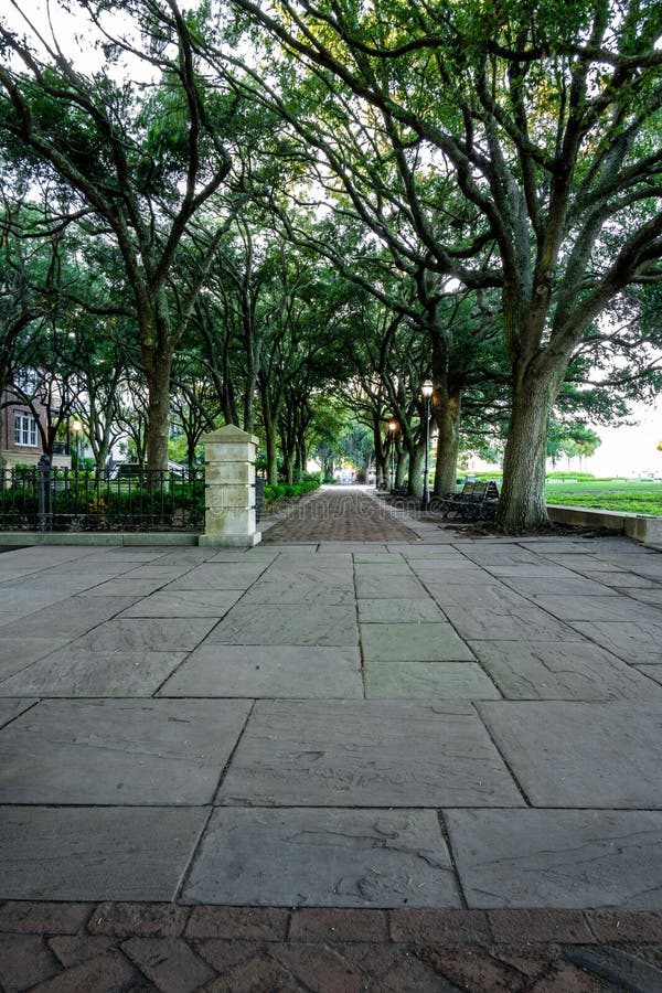 Stone Floor with Pattern with Trees in a Park, Vertical Shot Stock ...