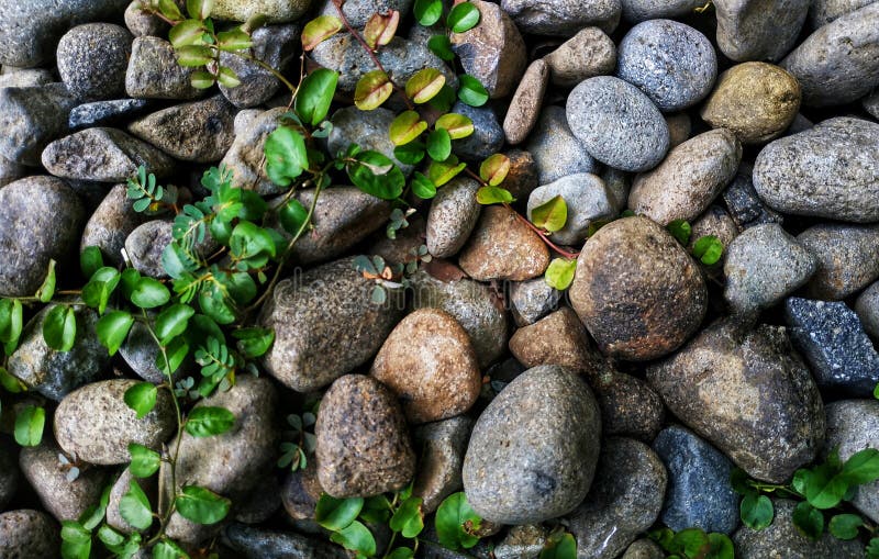 Stone Floor Top View High Definition Stock Photo - Image of floor ...