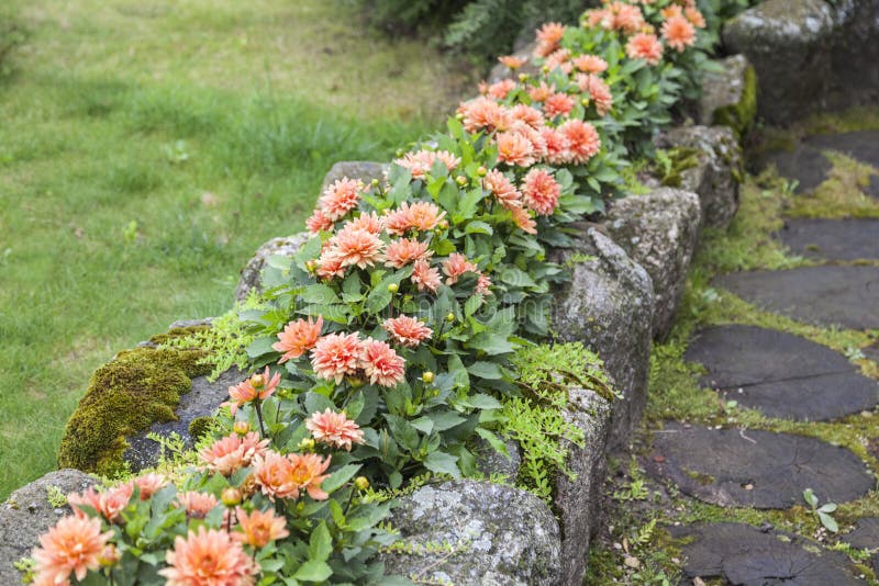 Stone flower bed stock image. Image of lawn, design - 180910197