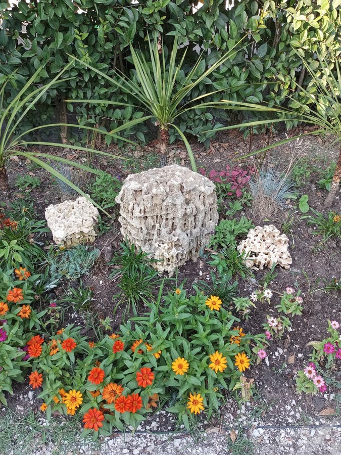 Stone on a flower bed stock image. Image of woodland - 284777053