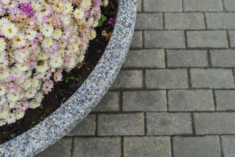 Stone Flowerbed with Flowers on a Background of Paving Slabs Stock ...