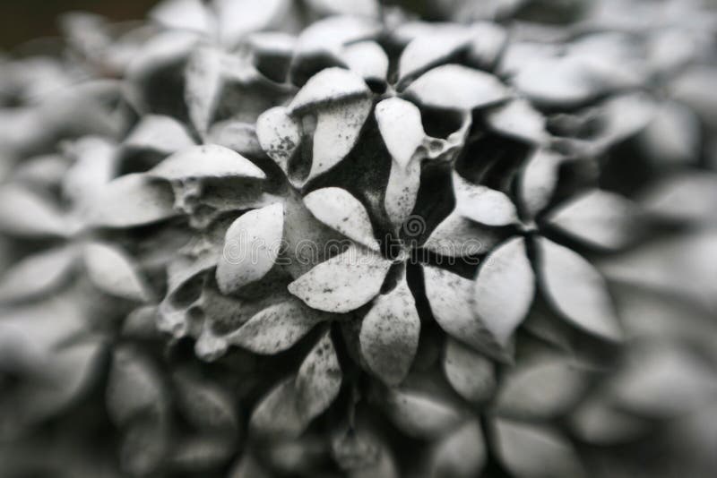 Stone Flowers stock photo. Image of flowers, spirit, shrine - 4382238