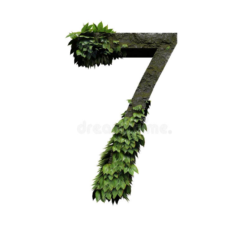 Number 7 Green Grass Flowers Stock Illustrations – 21 Number 7 Green ...