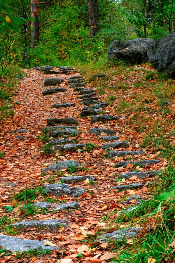 Stone footpath stock photo. Image of stability, rock, grass - 8644856