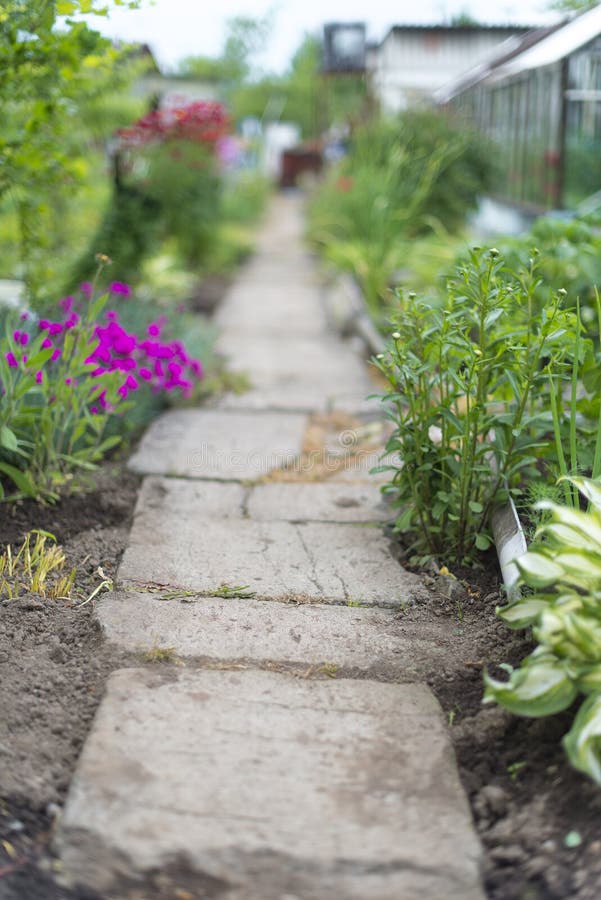 Stone footpath. stock image. Image of backyard, scenic - 56310695