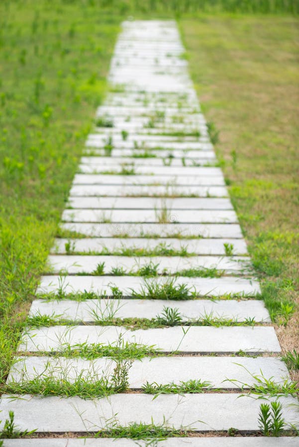 Stone Footpath with Growing Grass Stock Photo - Image of backyard ...