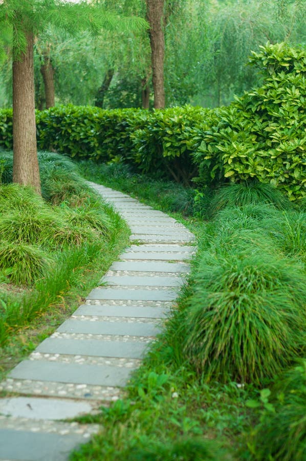 Stone footpath in Park stock photo. Image of green, tree - 98172306