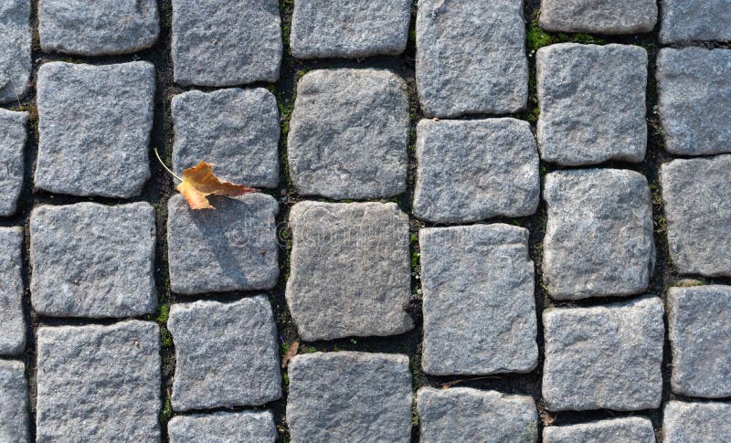 Stone Footpath Texture with Autumn Leaf Stock Image - Image of november ...