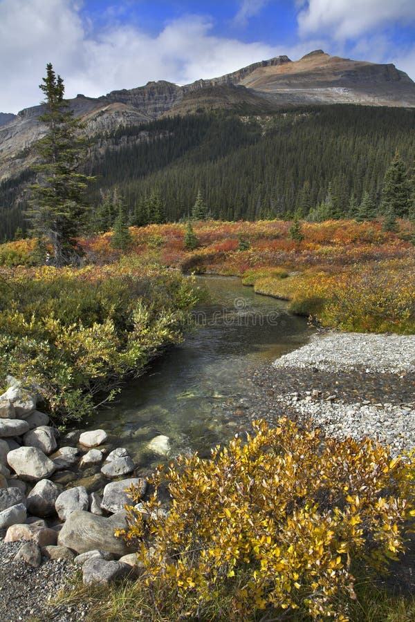 Stone ford stock photo. Image of morning, edge, backgrounds - 170470294