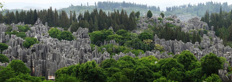 Stone forest stock photo. Image of geology, china, province - 12887762
