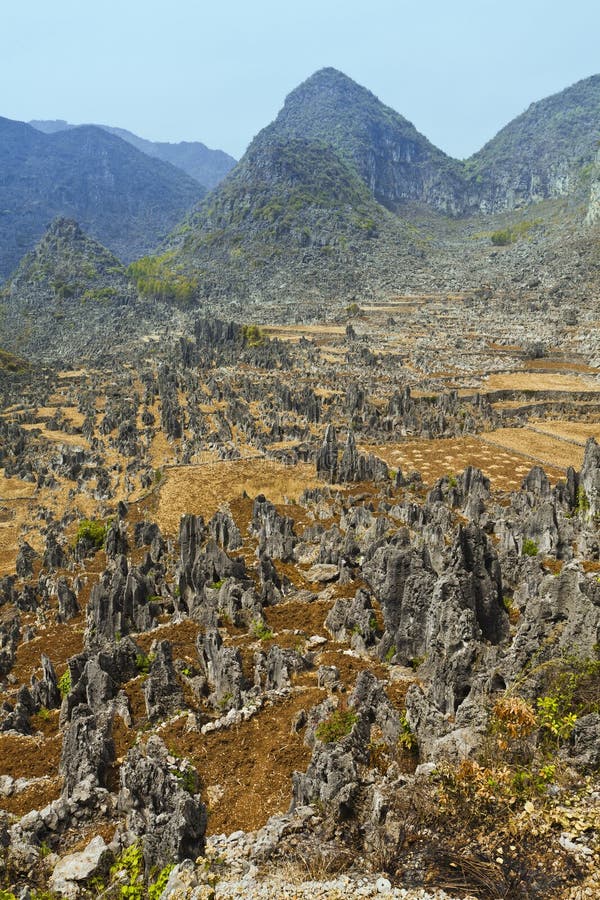 Stone forest stock image. Image of huge, china, rocky - 14903267