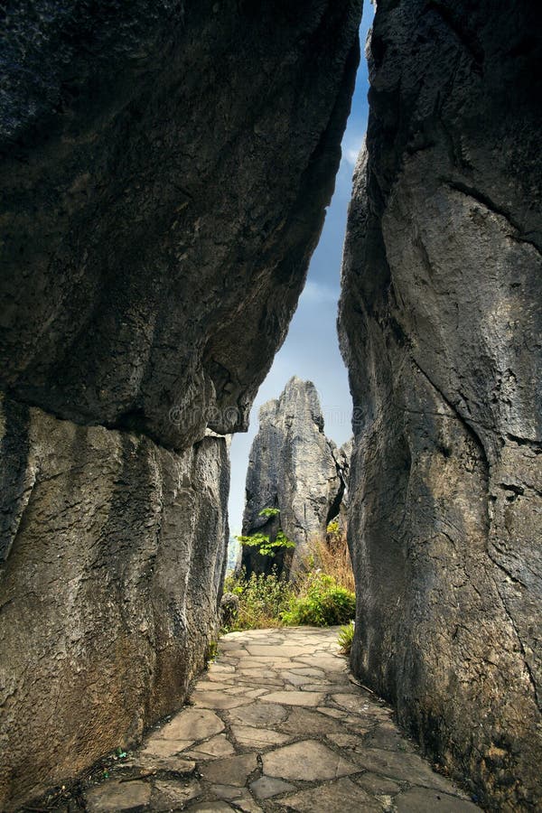 Stone Forest Picture. Image: 15013188