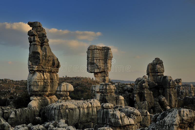 Stone Forest Picture. Image: 19212011