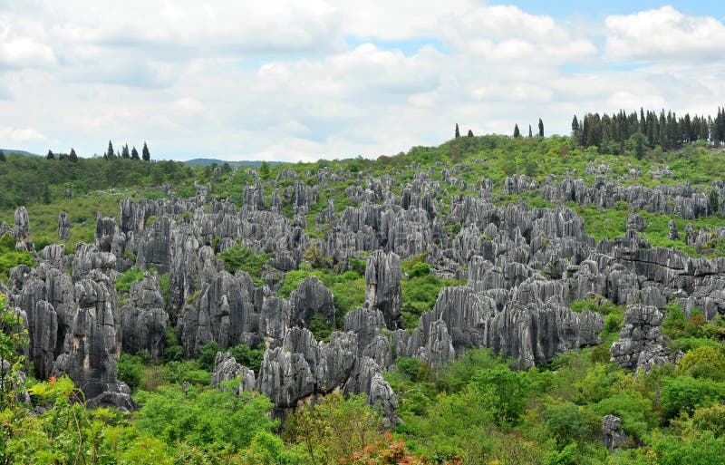 Stone Forest National Park In China Stock Photo - Image of kunming ...