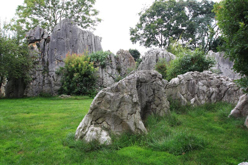 Stone forest stock photo. Image of yunnan, relaxing, relaxed - 6412224