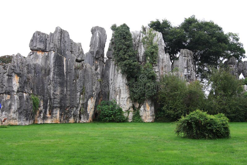 Stone forest stock photo. Image of landscape, relax, rock - 6413000