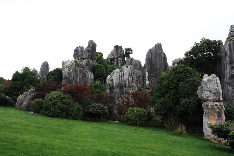 Stone forest stock image. Image of forest, stones, land - 6414807