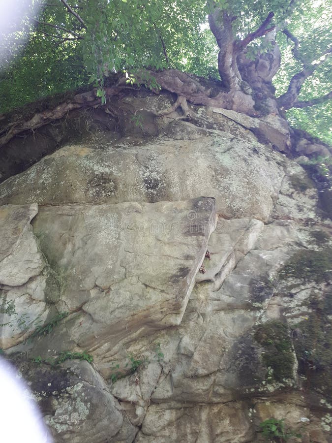 Stone stock image. Image of light, forest, stone, nature - 93625091