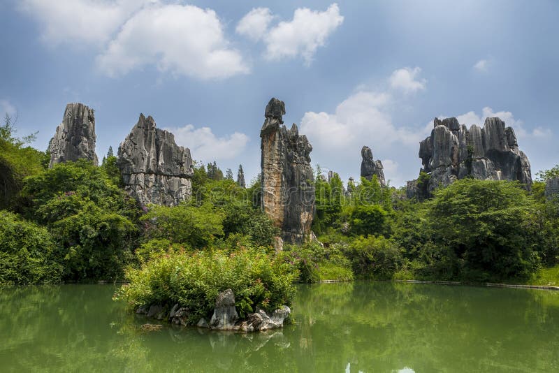 The stone forest stock image. Image of park, forest, mountain - 47248587