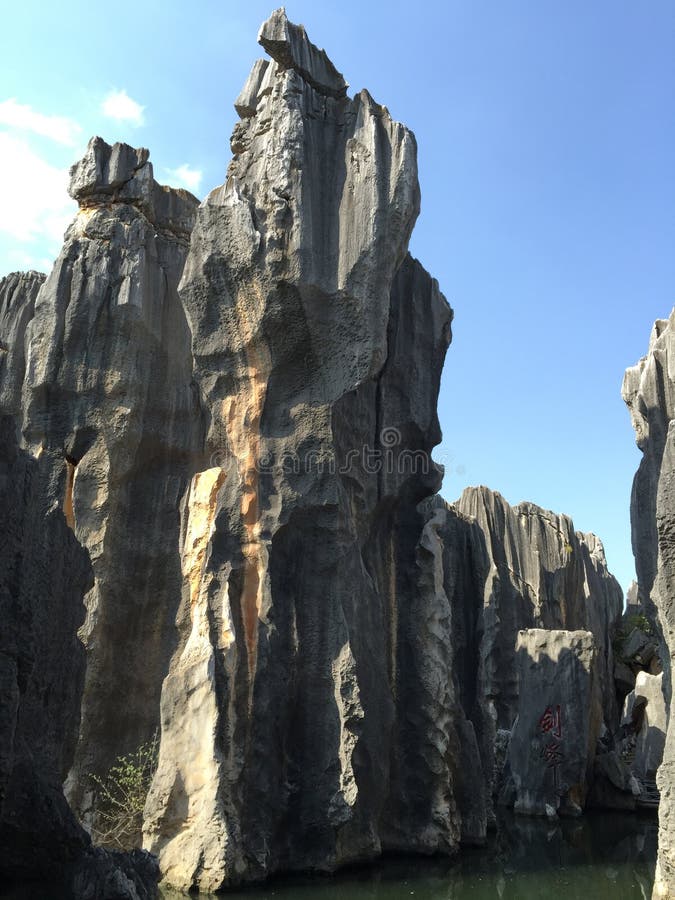 Stone Forest Formed by Natural Grace Stock Photo - Image of stone ...