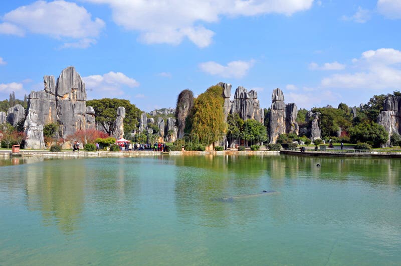 Stone Forest stock photo. Image of shilin, forest, world - 49440874