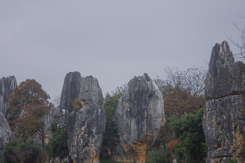 Stone Forest - Kunming stock photo. Image of asia, natural - 124814542
