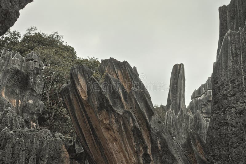 Stone Forest - Kunming stock image. Image of plant, forest - 124814551
