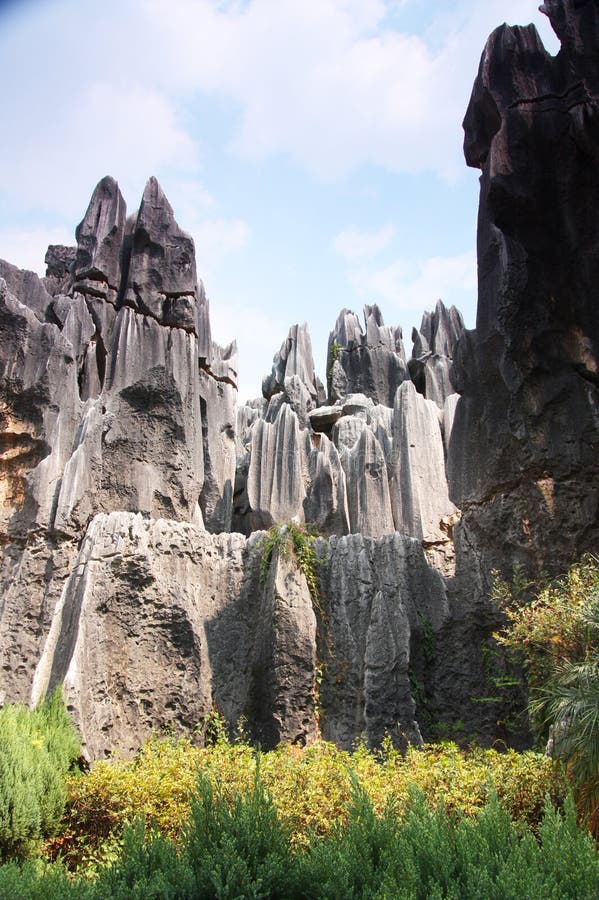 Stone Forest Landscape stock image. Image of landscape - 8799167